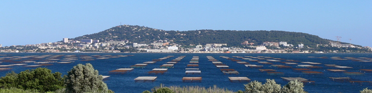 Lecture depuis un bateau du paysage de Thau – Le site du réseau des éco ...